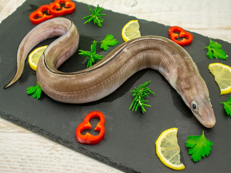 55 Foods That Start With E: Vegetables, Fruits, and More