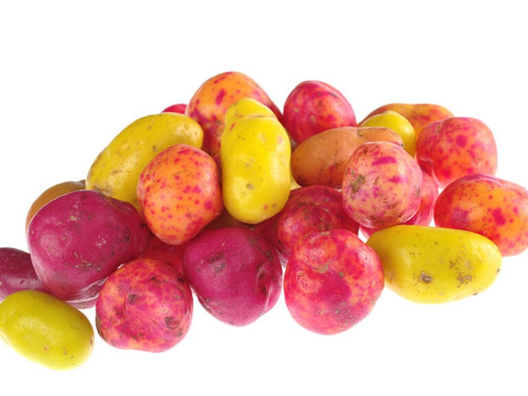 11 Popular Vegetables That Start With U: Native Favorites