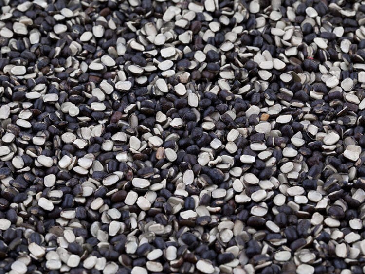 11 Popular Vegetables That Start With U: Native Favorites