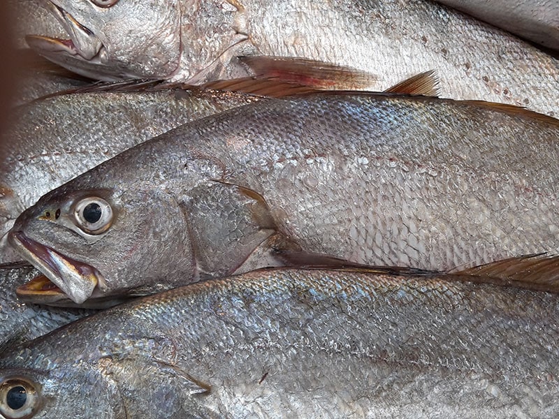 35 Foods That Start With J: Asian, American, and More