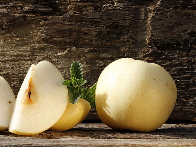 29 White Fruits with Their Healthy Benefits (with Pictures)