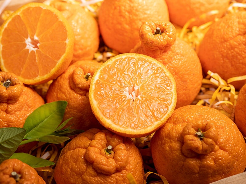 21 Fruits Start With Letter D: Citrus, Exotic, and More