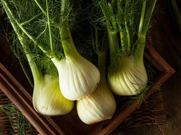 16 Common and Exotic Vegetables That Start with F
