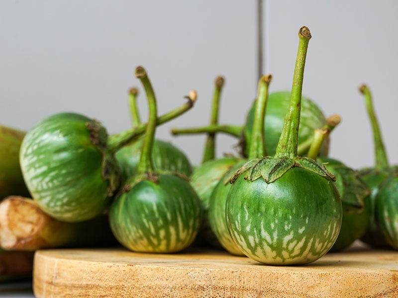 11 Popular Vegetables That Start With U: Native Favorites