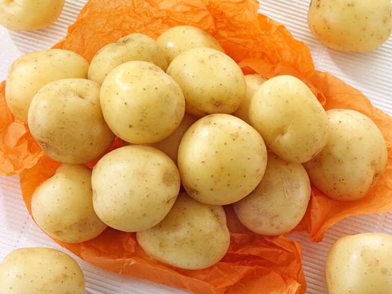 11 Popular Vegetables That Start With U: Native Favorites