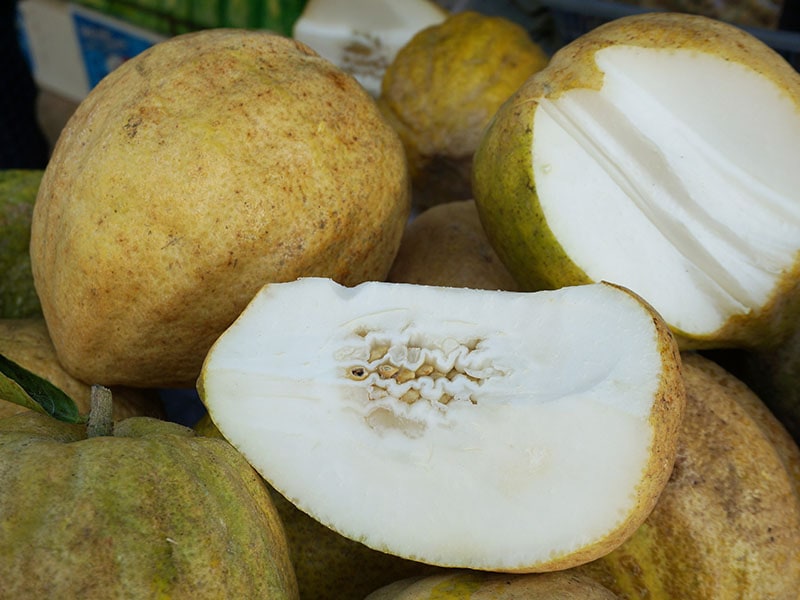 19 Must-Try Fruits That Start With Y: Native and Popular