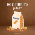 Do Peanuts Go Bad: Shelf Life and Storage Conditions