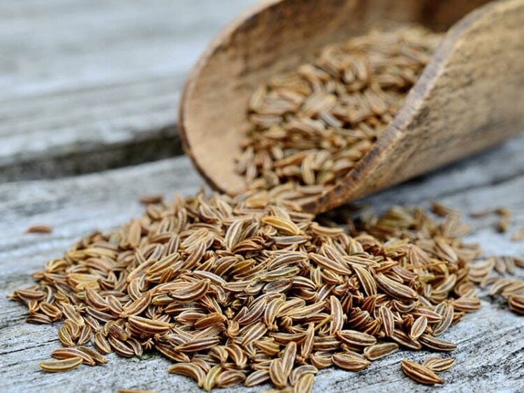 5 Different Types of Cumin You Should Know