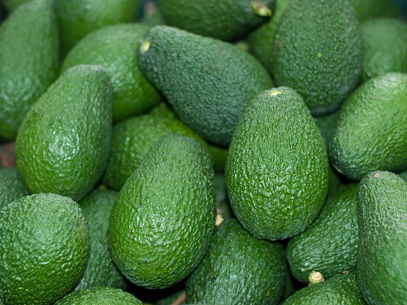 19 Famous Spanish Fruits With Names and Characteristics