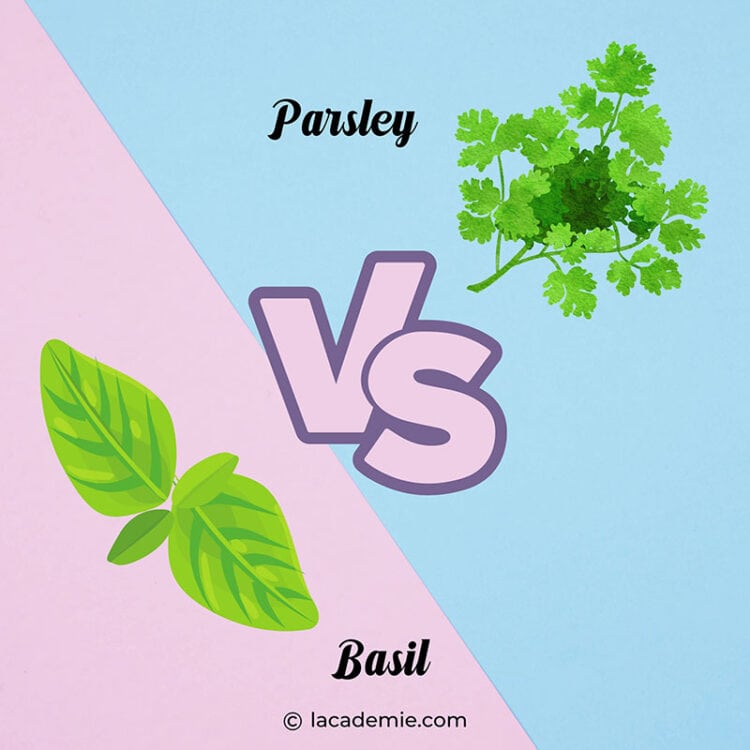 Basil vs. Parsley: Flavors, Uses, and More