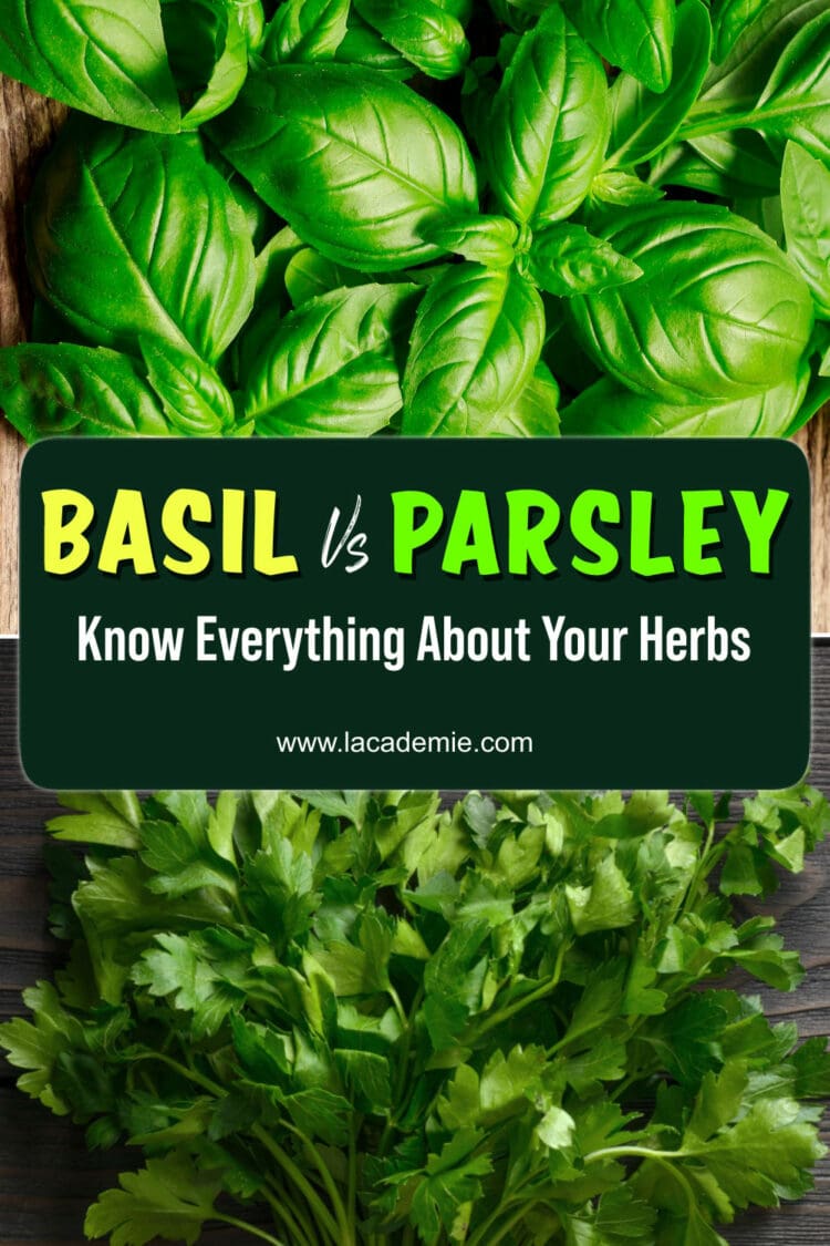Basil vs. Parsley: Flavors, Uses, and More