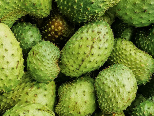 19 Popular Mexican Fruits: Native, Non-native, and Exotic