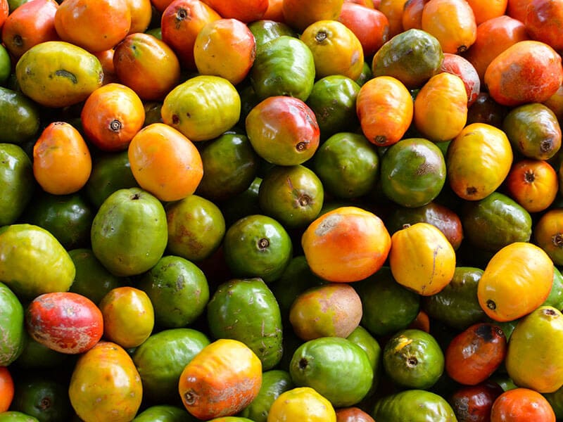 19 Popular Mexican Fruits: Native, Non-native, and Exotic