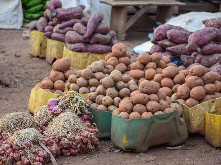 15 Zambian Food Dishes with Traditional and Popular Options