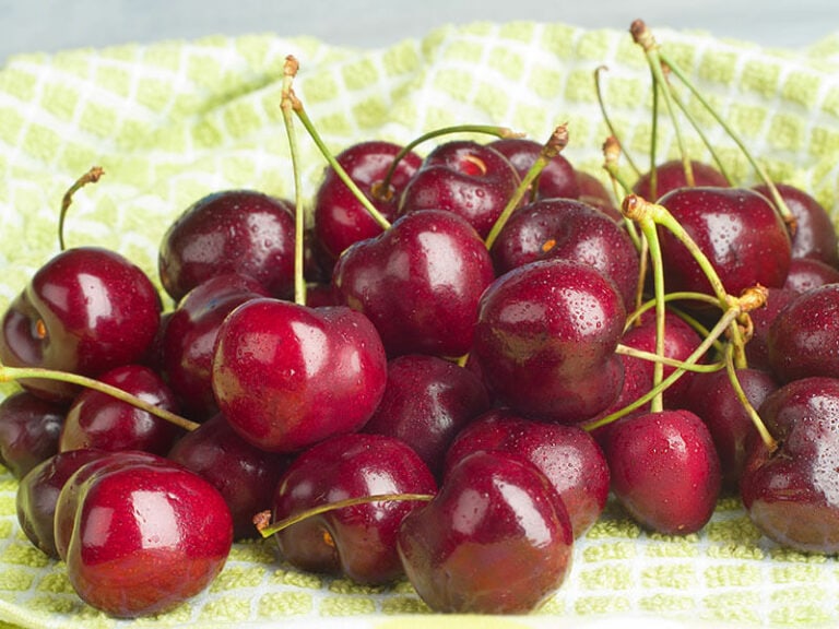 30 Different Types Of Cherries: Natural Tempting Flavors
