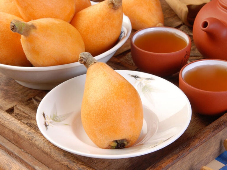 19 Famous Spanish Fruits With Names and Characteristics