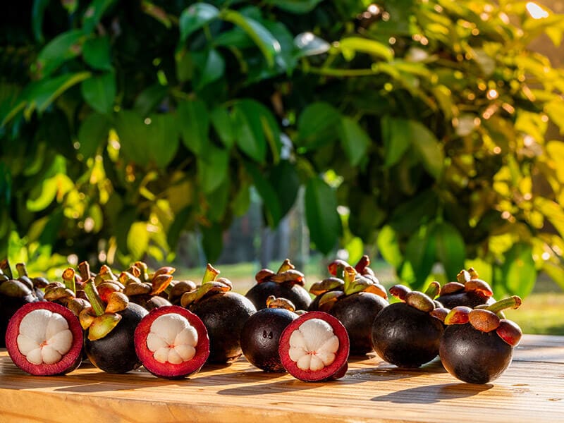 24 Typical Thai Fruits of All Types for Every Season
