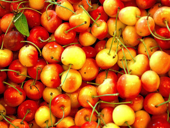 30 Different Types Of Cherries: Natural Tempting Flavors