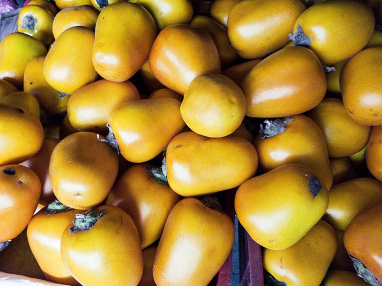 21 Popular Peruvian Fruits: A Journey to the Amazon