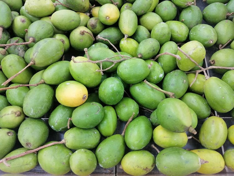 26 Common and Exotic Fruits That Start With J