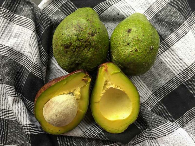 22 Typical Indonesian Fruits: From Common Tropical to Rare