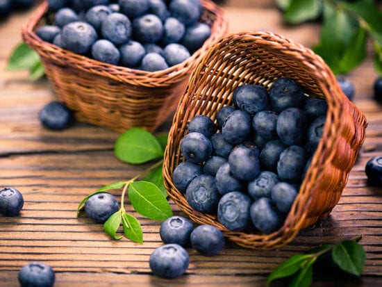 19 Popular Chilean Fruits From Native to Exported Fruits
