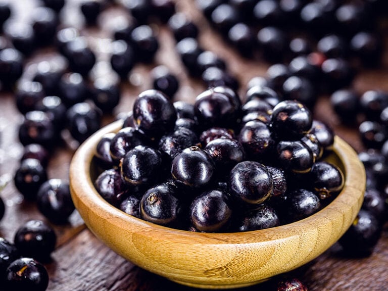 20 Famous Brazilian Fruits From Popular to Exotic Options