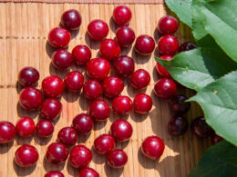 19 Popular Chilean Fruits From Native to Exported Fruits