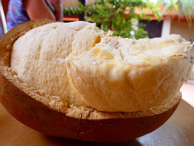 20 Famous Brazilian Fruits From Popular to Exotic Options