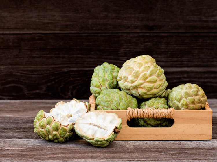19 Popular Chilean Fruits From Native to Exported Fruits