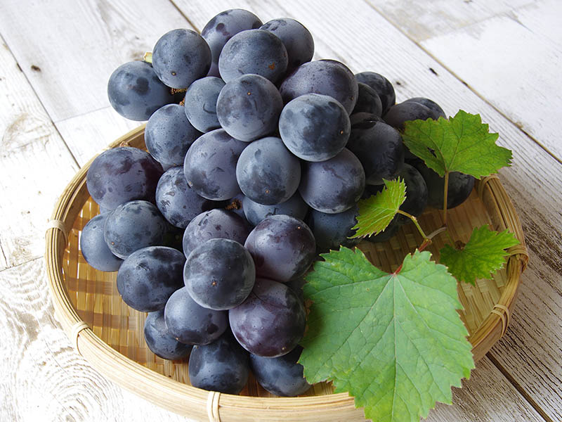 22 Unique Japanese Fruits: Discover Native and Rare Delights