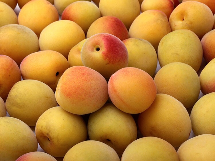 22 Unique Japanese Fruits: Discover Native and Rare Delights