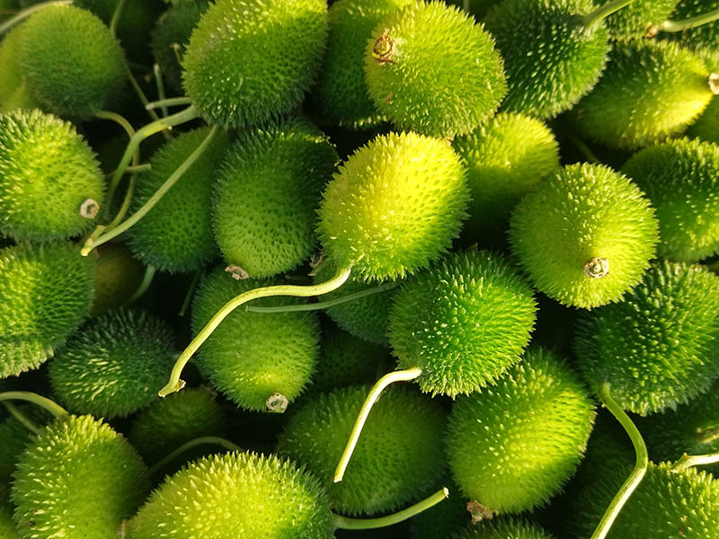 23 Fruits That Start With K: From Common to Exotic Fruits