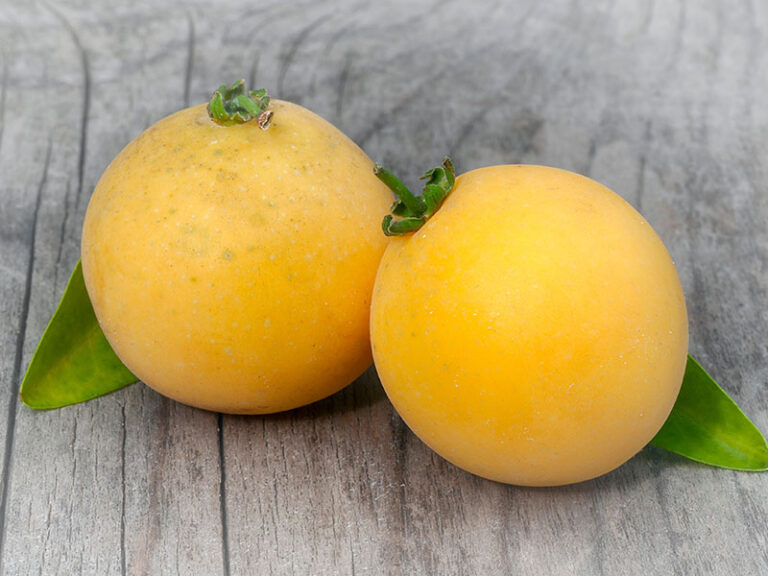 23 Fruits That Start With K: From Common to Exotic Fruits