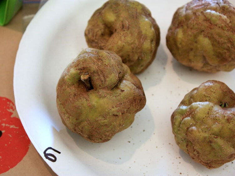 23 Fruits That Start With K: From Common to Exotic Fruits