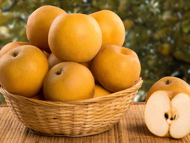 23 Fruits That Start With K: From Common to Exotic Fruits