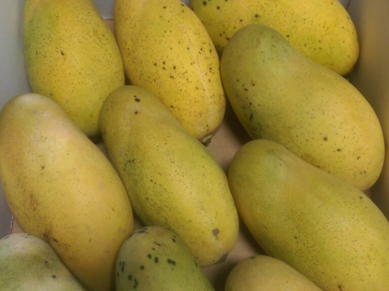 12 Top Haitian Fruits: Detailed List with Bonus Vegetable Guide