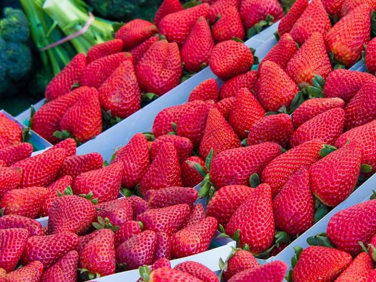 26 Popular Fruits That Start With O