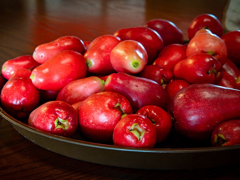 31 Popular Jamaican Fruits: Common and Rare Types of Fruits