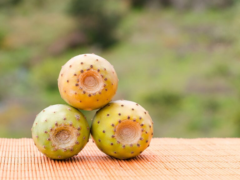 21 Popular Peruvian Fruits: A Journey to the Amazon