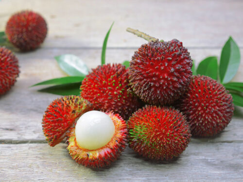 18 Malaysian Fruits: National, Tropical, and Exotic