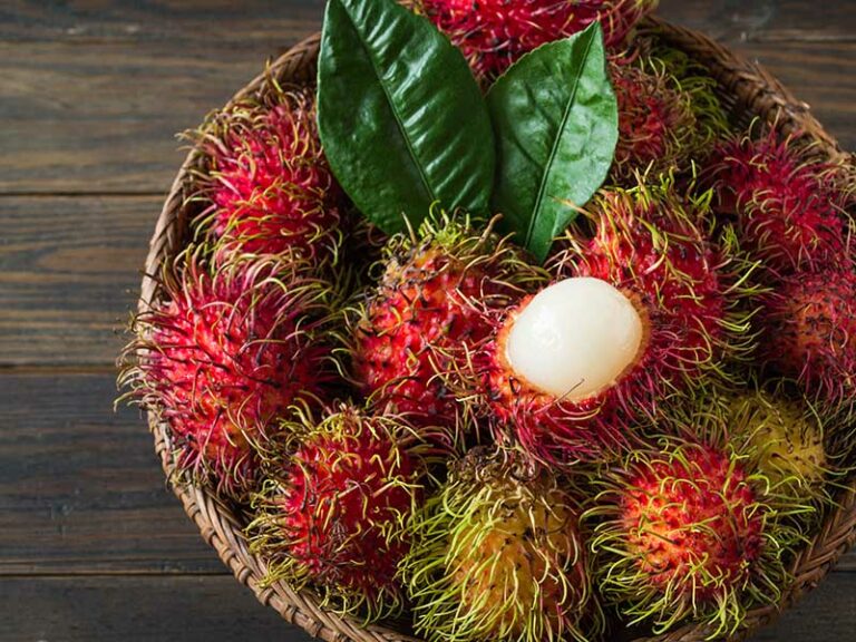 19 Indian Fruits: Exotic, Native, and Non-native