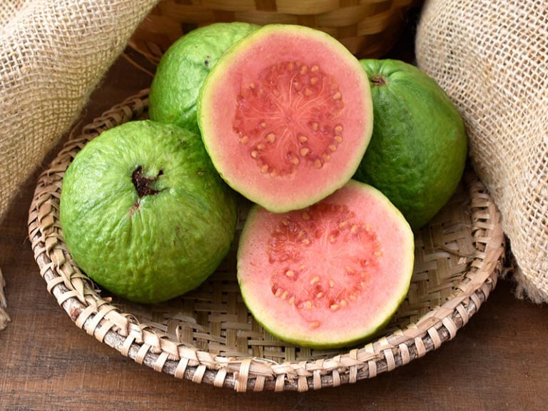 30 Native and Tropical South American Fruits with Images