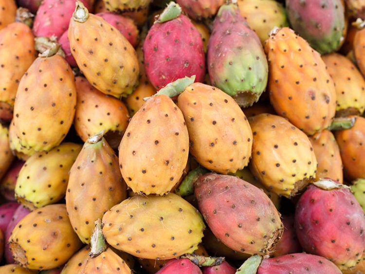 12 Common Italian Fruits: Native, Non-Native, and Exotic