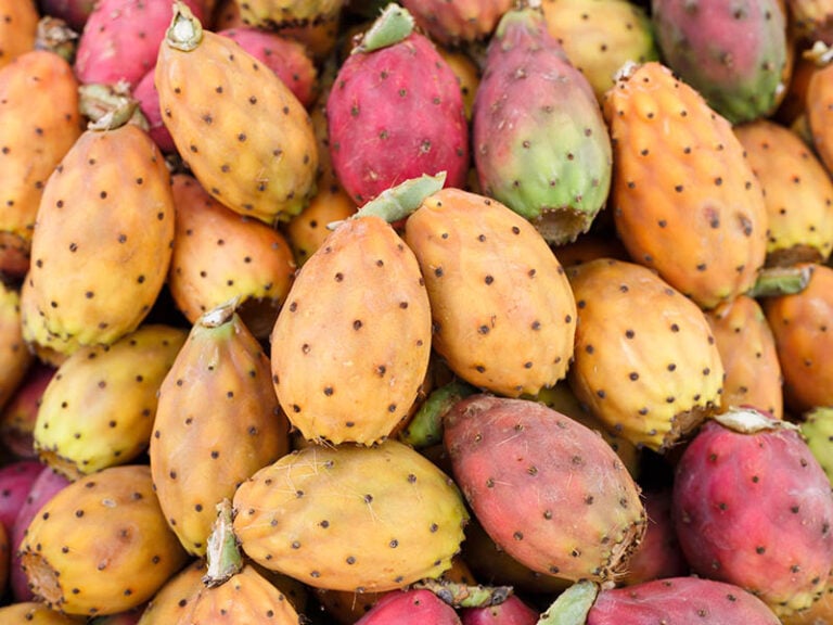 12 Common Italian Fruits: Native, Non-Native, and Exotic