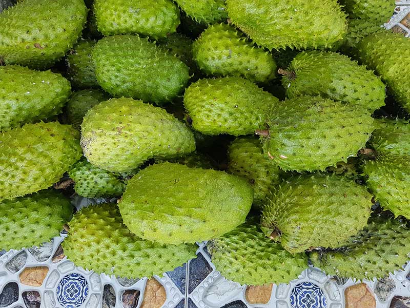 31 Popular Jamaican Fruits: Common and Rare Types of Fruits