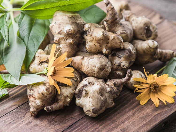 46 Different Types of Foods: Popular Varieties Worldwide