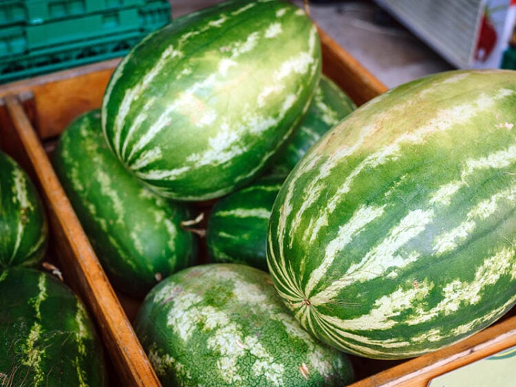 14 Greek Fruits: Ancient, Native, Non-native, and More