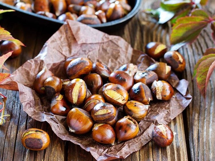 25 Popular Foods That Are Brown with Diverse Taste Profiles