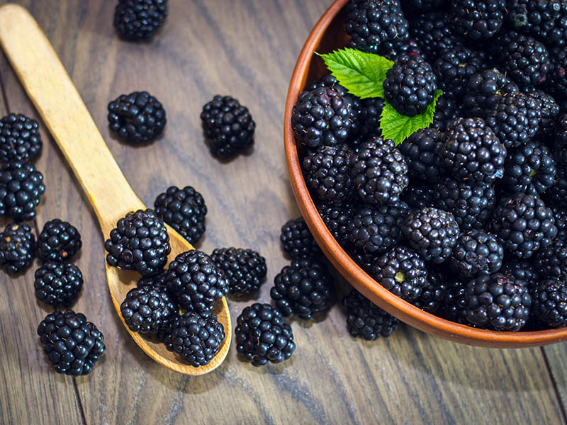 25 Black Fruits with Names and Images